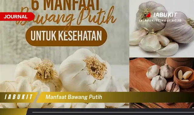 Ketahui 5 Manfaat Bawang Putih Jarang Diketahui