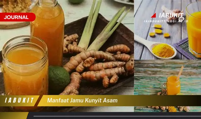 Temukan Manfaat Minum Susu Jahe Sebelum Tidur Jarang Diketahui Iabukit