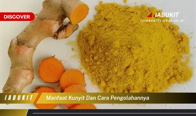 Ketahui 7 Manfaat Kunyit Yang Jarang Diketahui Dan Cara Pengolahannya