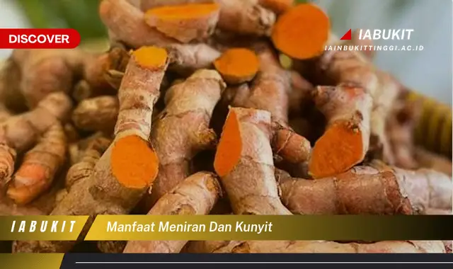 Ketahui 7 Manfaat Meniran Dan Kunyit Yang Bikin Kamu Penasaran Discover