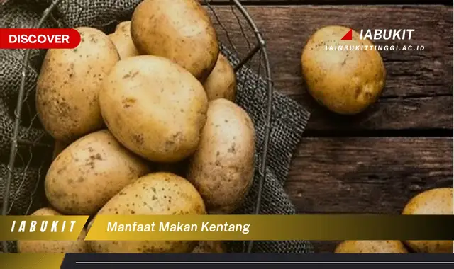 Intip 7 Manfaat Makan Kentang Yang Bikin Kamu Penasaran Discover