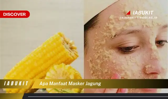Intip 7 Manfaat Masker Jagung Yang Bikin Kamu Penasaran Discover