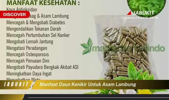 Ketahui Manfaat Daun Kenikir Untuk Asam Lambung Jarang Diketahui