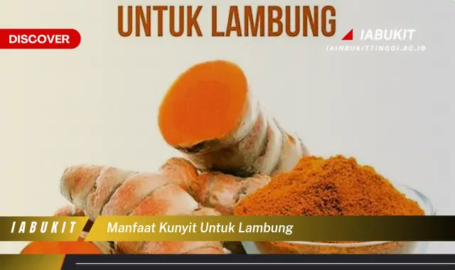 Temukan 7 Manfaat Kunyit Untuk Lambung Yang Bikin Kamu Penasaran Discover