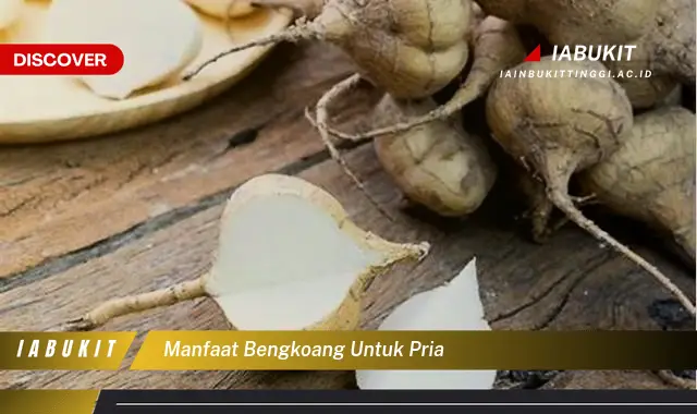 Intip 7 Manfaat Bengkoang Untuk Pria Yang Bikin Kamu Penasaran Discover