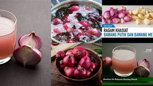 Temukan Manfaat Air Rebusan Bawang Merah Yang Jarang Diketahui Iabukit